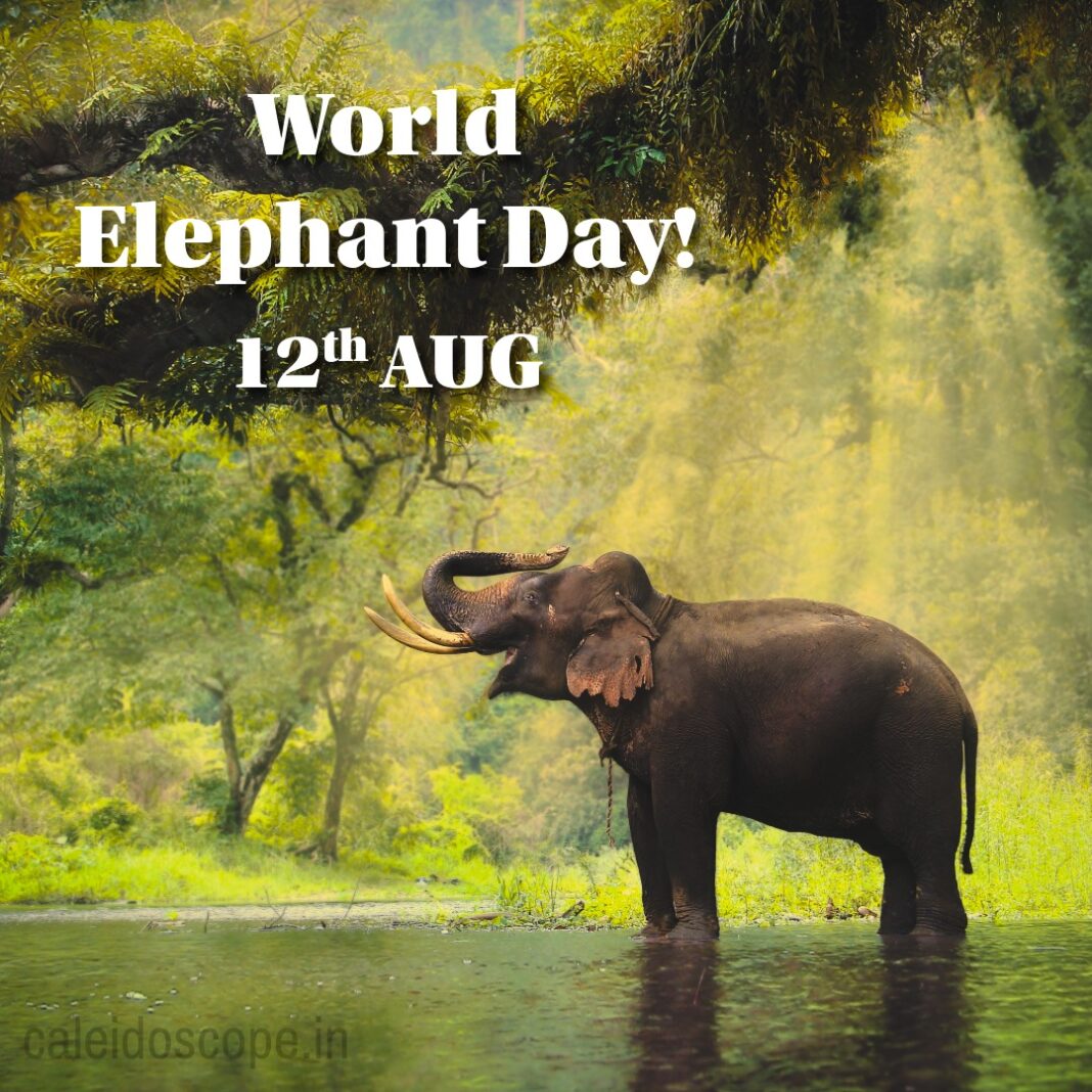 World Elephant Day 2025: Standing Strong for the Tusked Titans