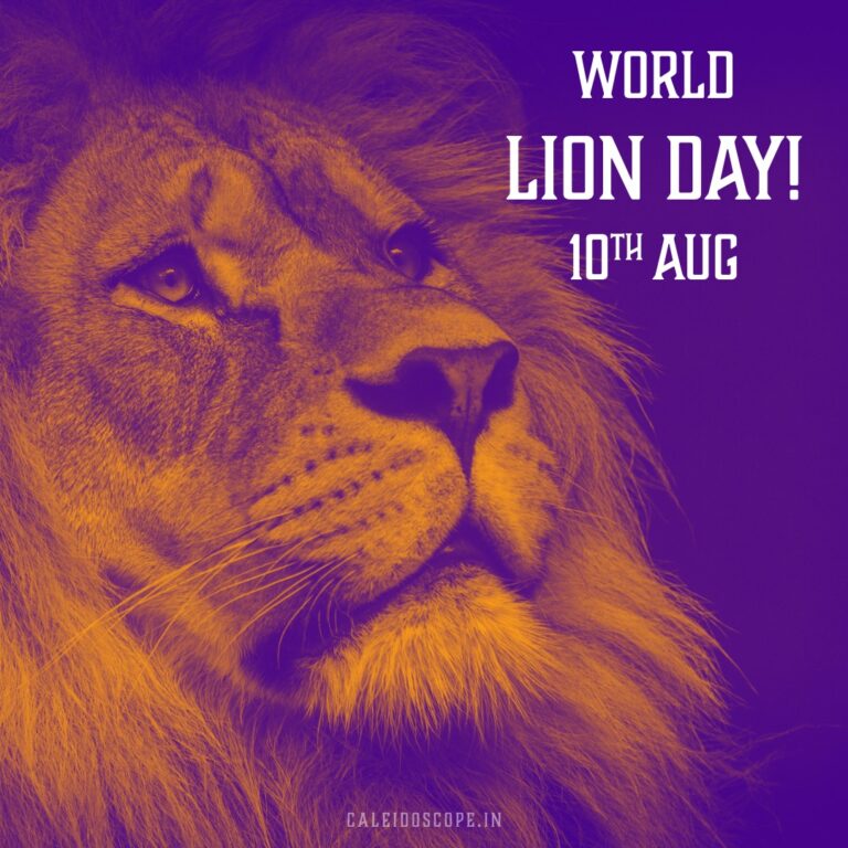 World Lion Day 2025: Long Live the King